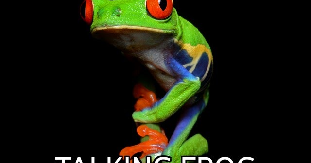 Talking Frog