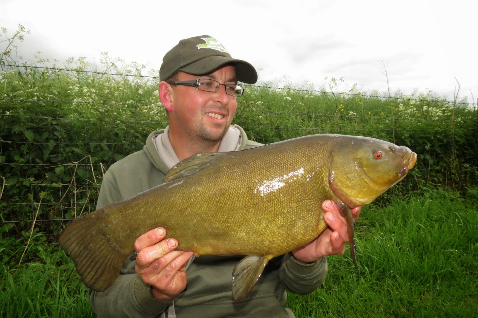 A Specialist Anglers Diary: Estate lake tench - giving em some grubs