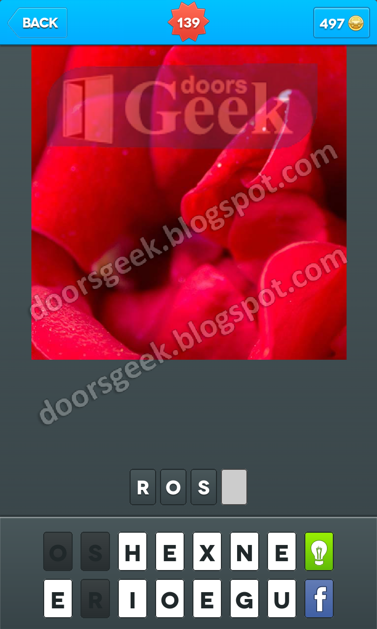 Zoomed In - Photo Word Game Level 139 ~ Doors Geek