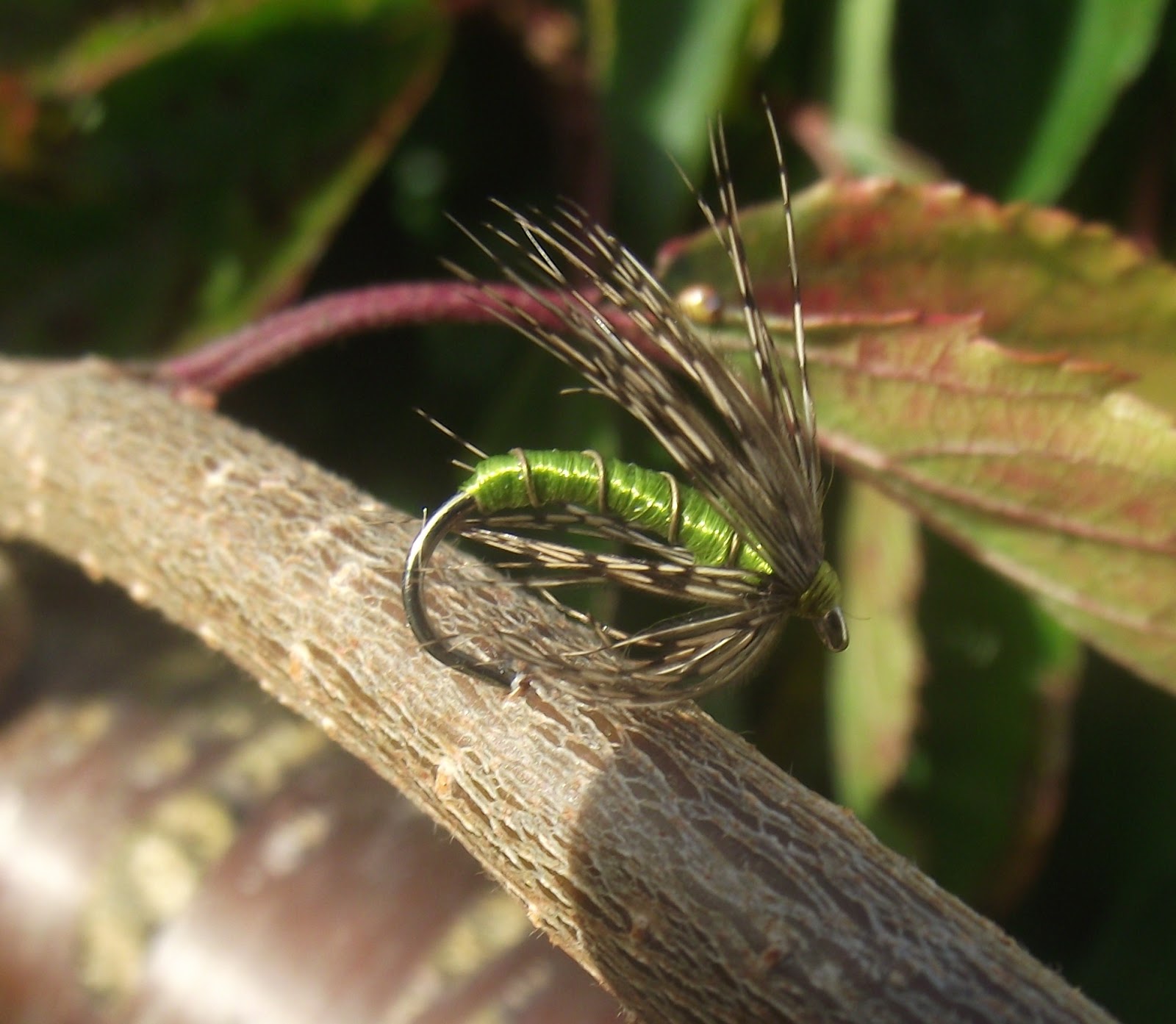Piscari-Fly : Wet Flies and Spiders