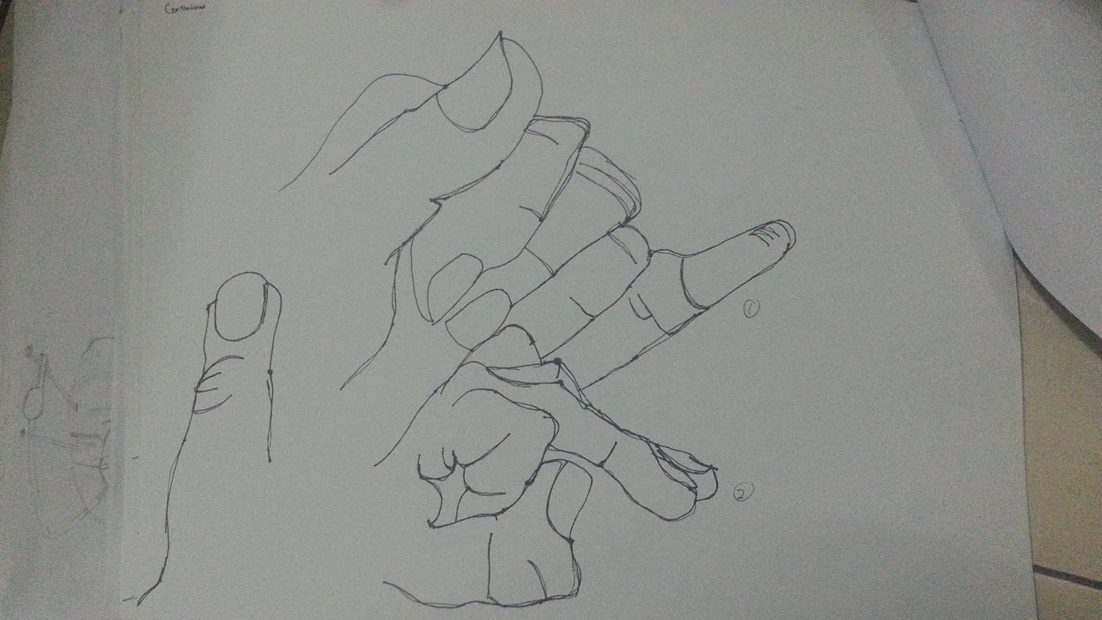 Basic Drawing: Basic Drawing | Assignment 4 | Contour Drawing