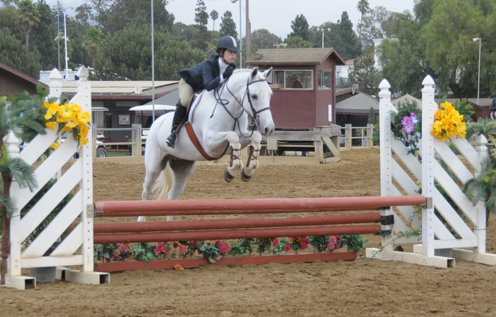 Shadowbrook Stables Results: 2009