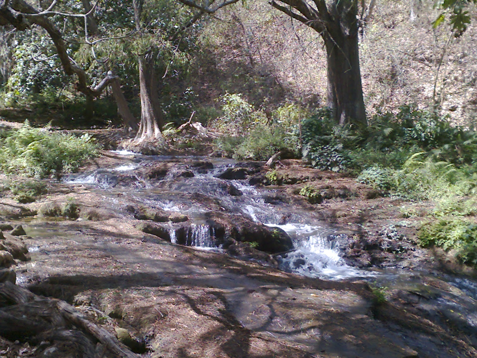 Blog de Carlos Esponda: EL RÍO SABINAL- ORIGEN