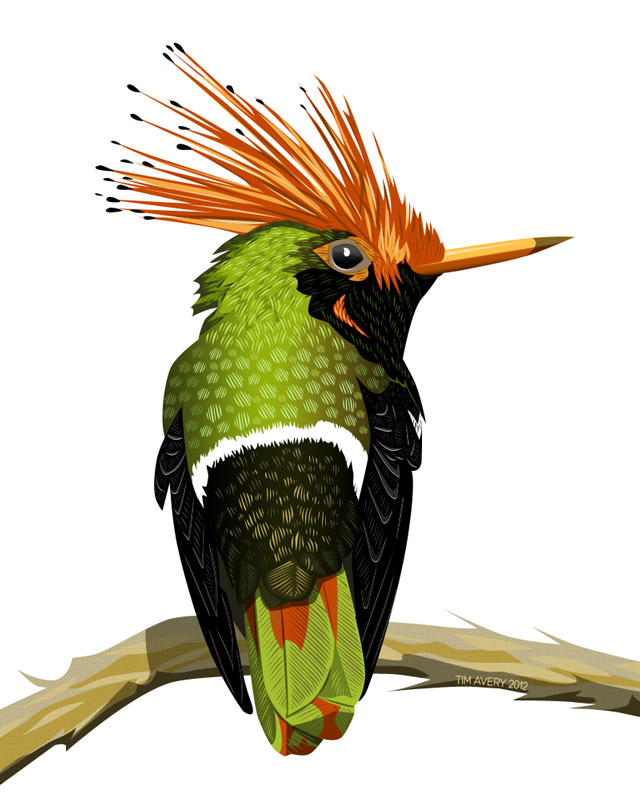 Utah Birders | Birding Blog, Utah Birds, Utah Birding, Utah Bird ID ...