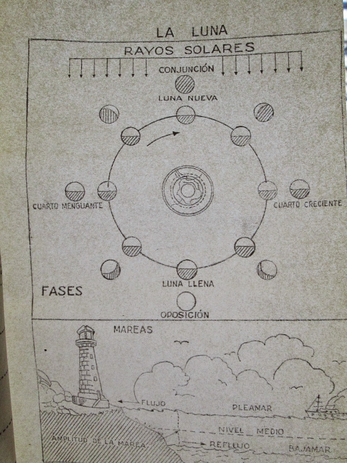 Un Libro Por Día Simulcop 6° Grado