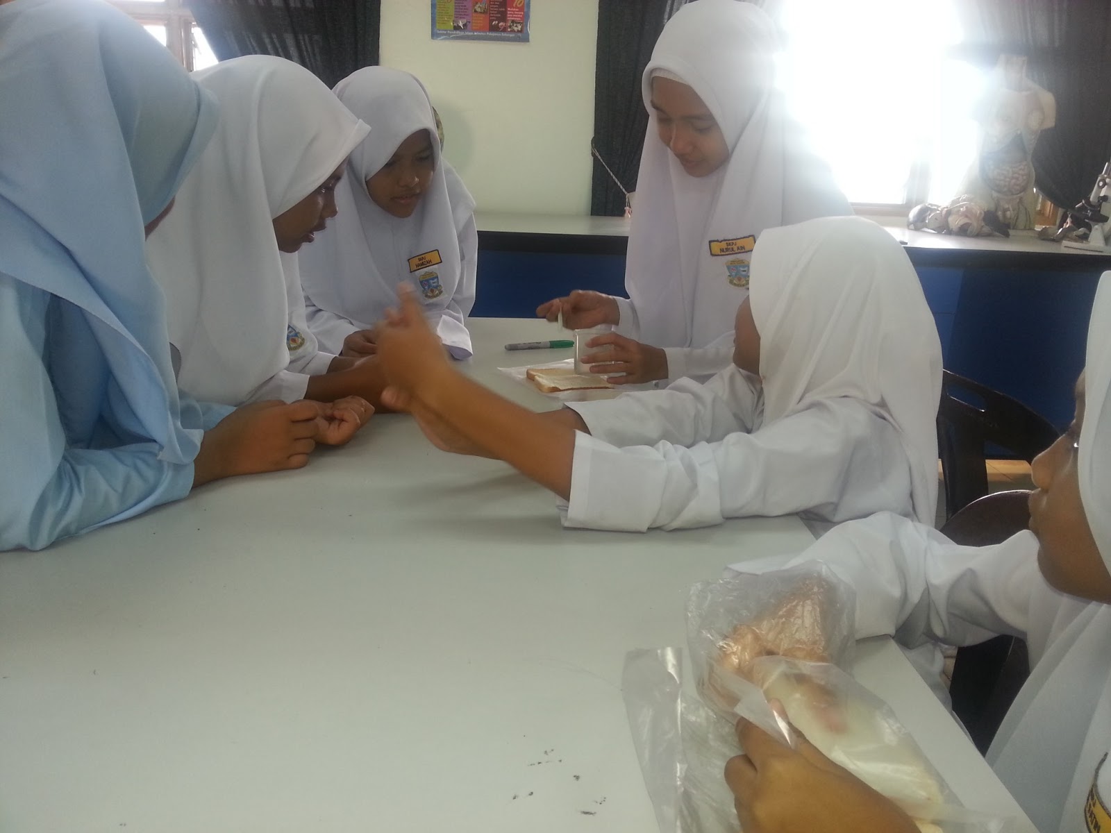 PANITIA SAINS SK PETALING JAYA ( CIKGU SUZANA): Amali PeKA TAHUN 6 (2013)