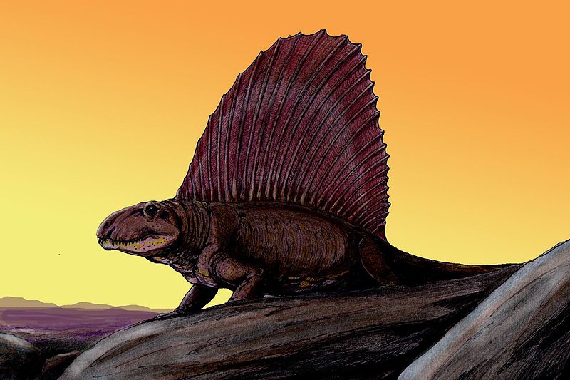 Mesozoic Musings at Jurassic Forest: Dimetrodon
