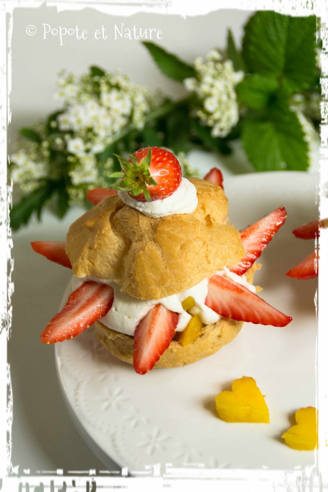 Popote et Nature: Des choux aux fruits frais avec une chantilly ...