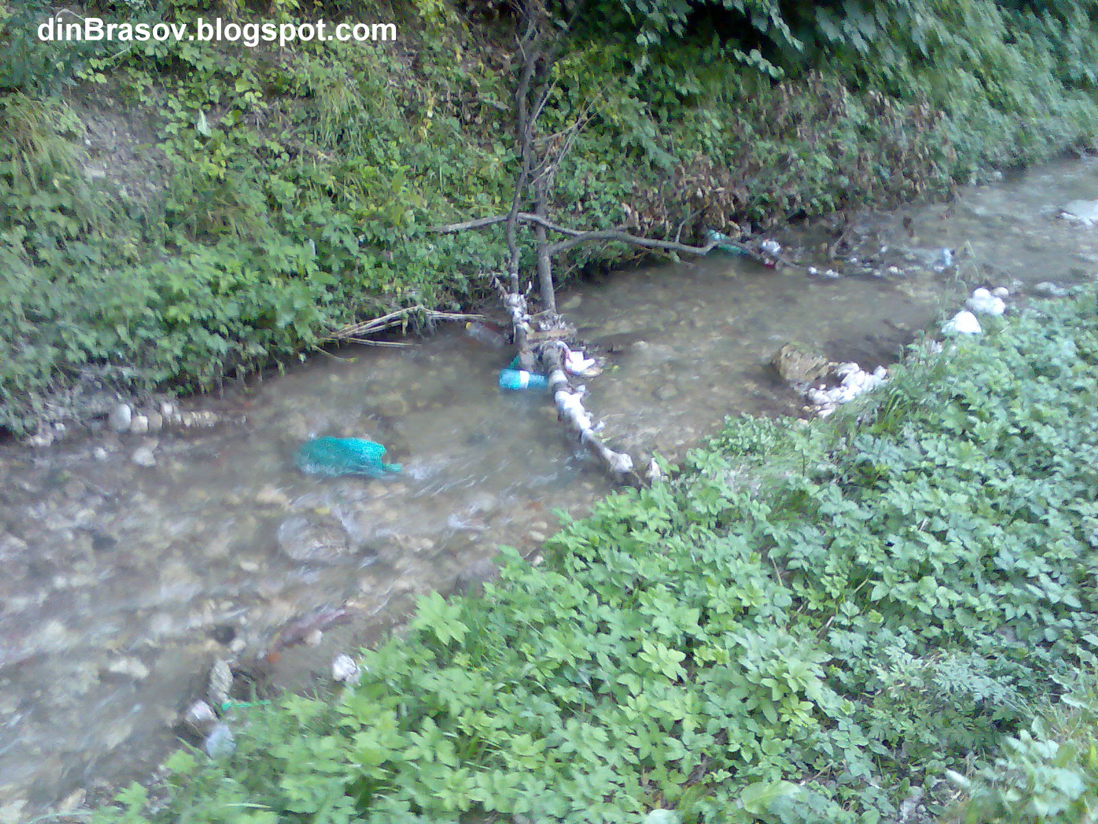 din Brasov: Mizerabilul parau Warthe din Brasov