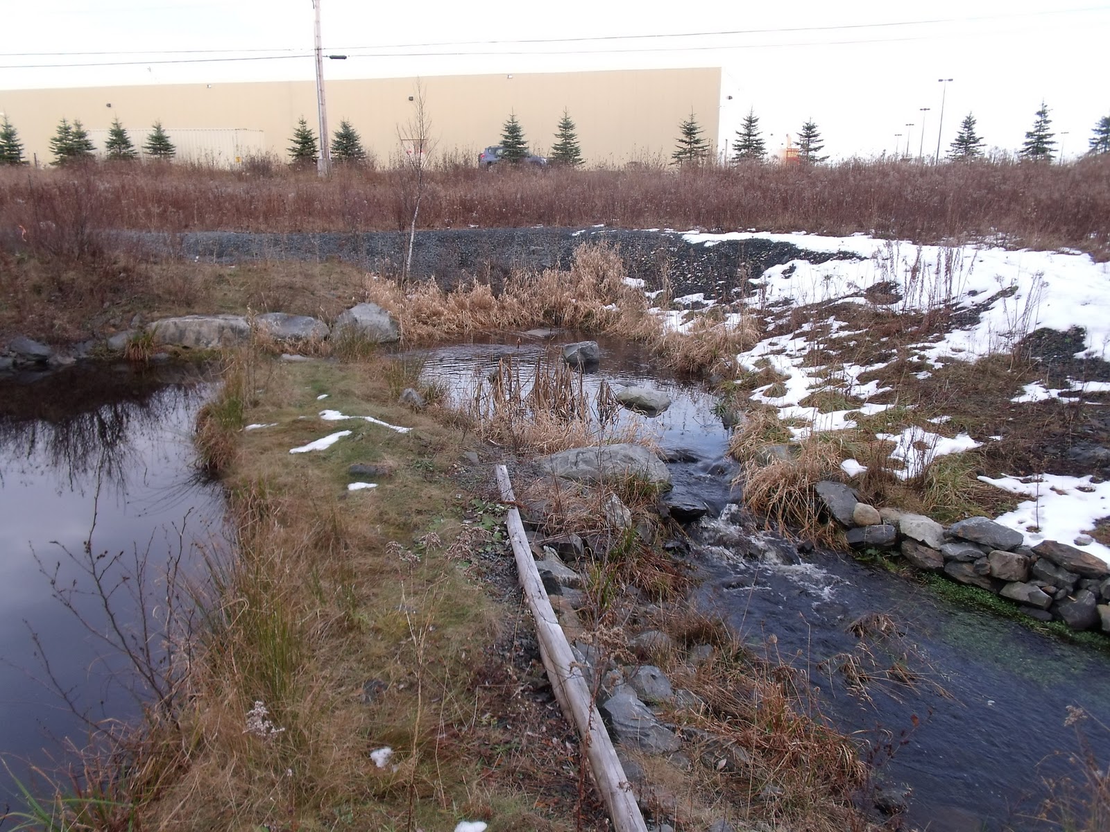 Stormwater Central: Retention Basins (Wet Ponds)