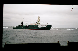 North Coast Voices: Whale Wars 2012: Forest Rescue boards Japanese ...