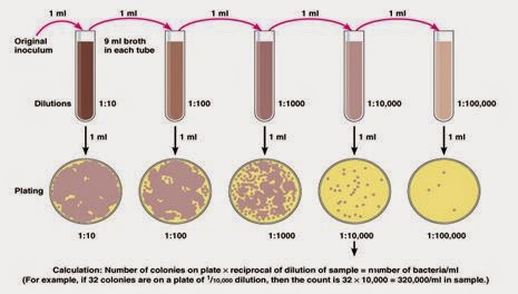 Metode Penghitungan Bakteri - Biologi Edukasi: Belajar Sains Biologi