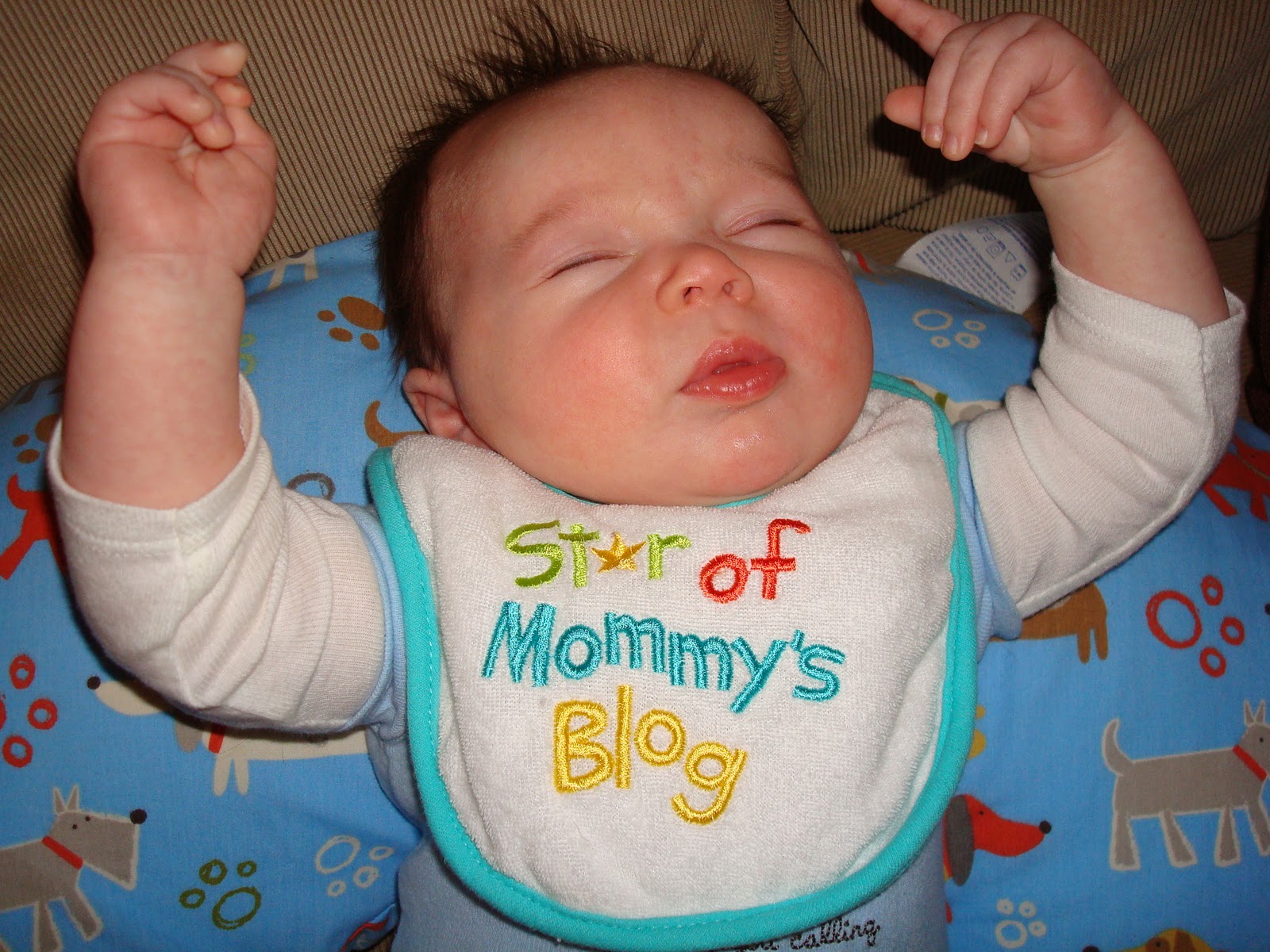 Everybody's Gonna Love Today: Diaper Diddler