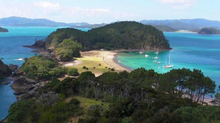 Roberton Island - New Zealand