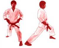 USC Karate: Basic Stances
