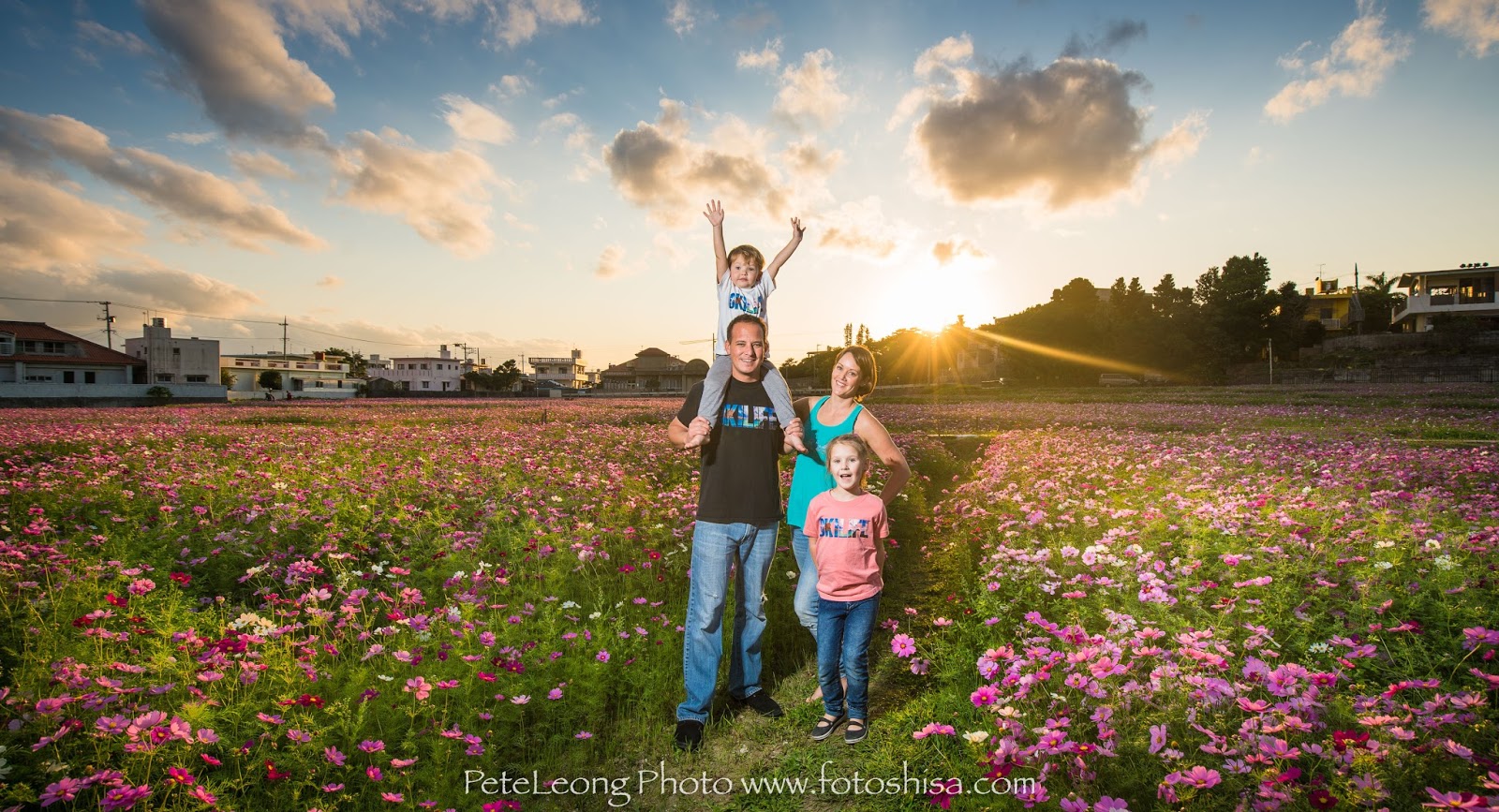 Cosmos flower fields family photos
