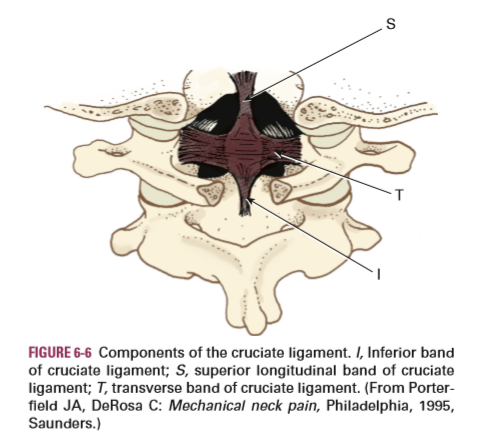 Cervical Omurga Kinematiği