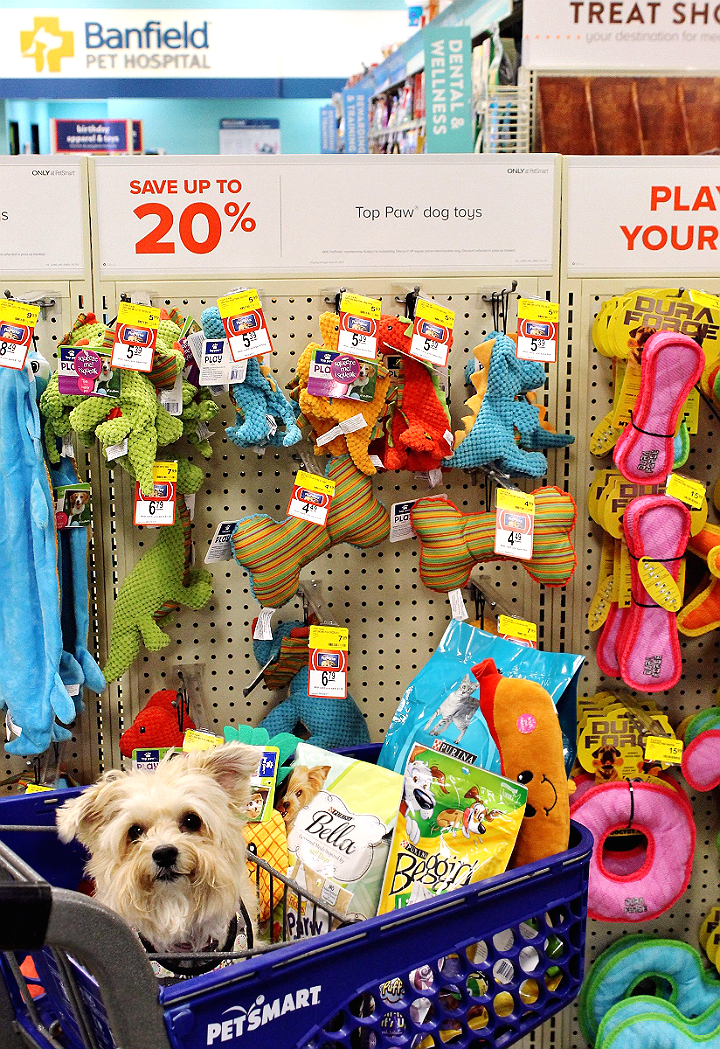 Momma Told Me: 10 Habits of Highly Loved Pets + $10 Gift Card When You ...