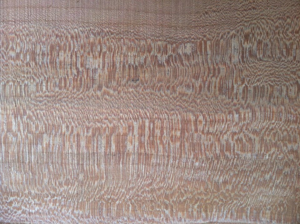 My Wood Carving Adventure