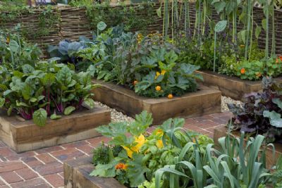 Tuindesign: Verhoogde bedden in (moes)tuin