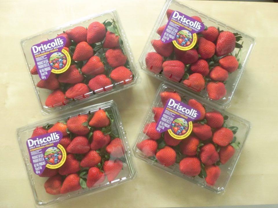 BERRY FRESH: Driscolls Long Stem