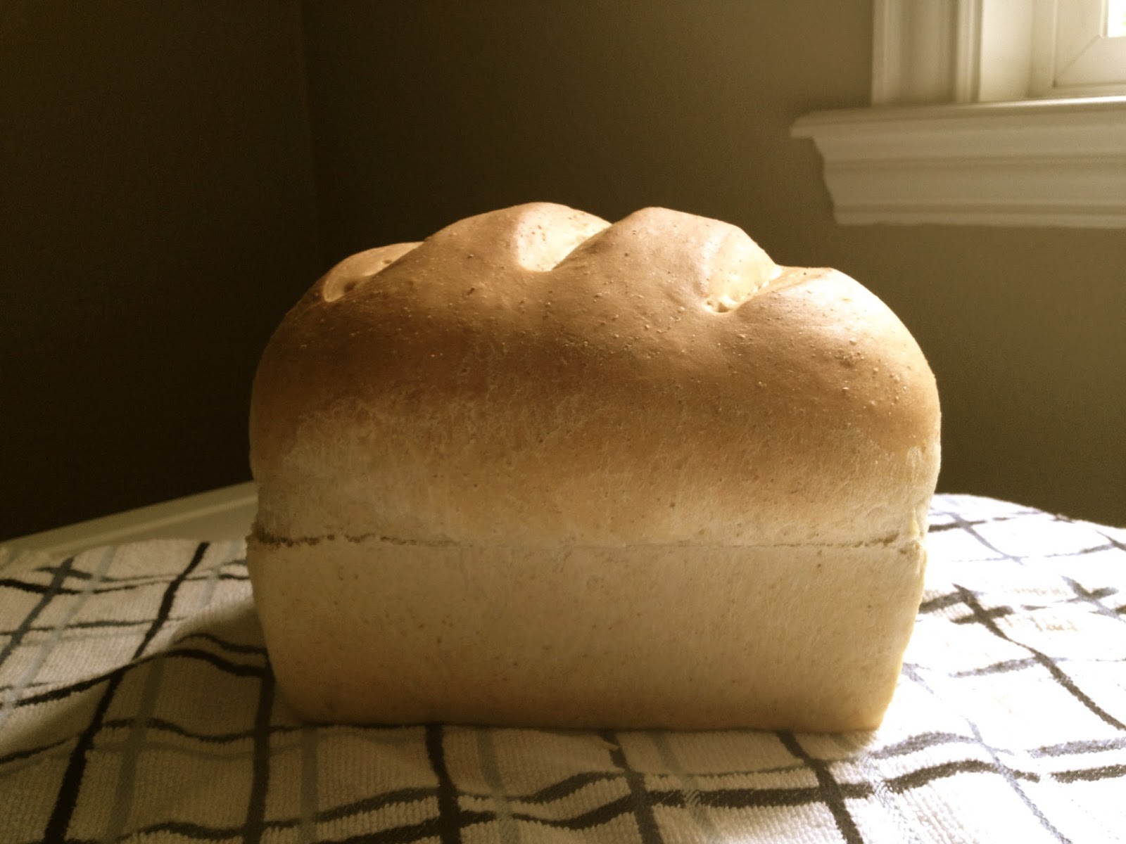 Mommy's Running Around: Domestic Monday