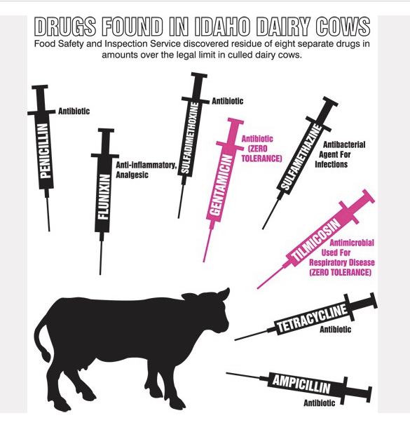 # Doc's Fitness Tip's, With Tit's: rBGH