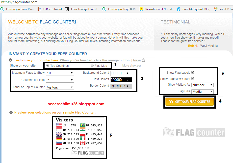 Cara Memasang Flag Counter Pada Wordpress - Biologizone