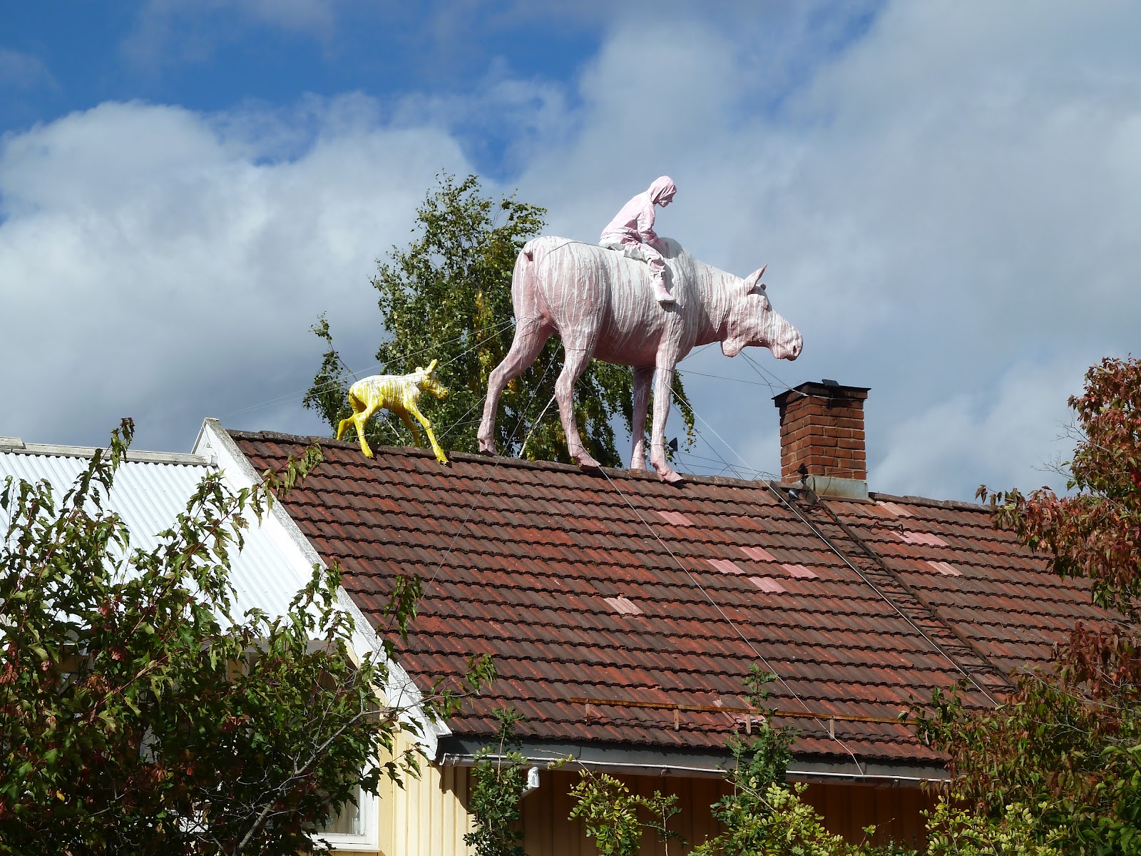 KLEPPANROVA: Tafikkfarlig elg! Tro det eller ei!