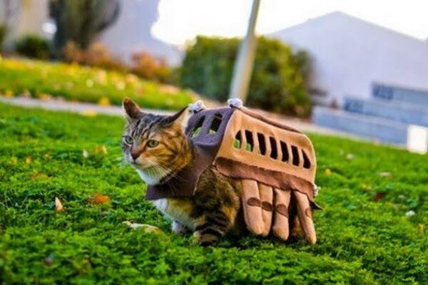 Ghibli Blog: Studio Ghibli, Animation and the Movies: Turn Your Pet ...