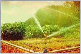 Anim Agro Technology: PENGAIRAN RENJIS VS TITIS