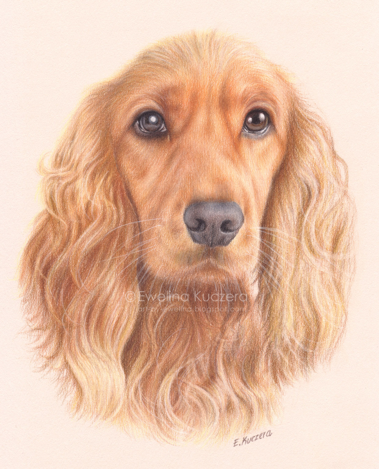 Artistic Blog - learn how to draw with colored pencils: Dogs