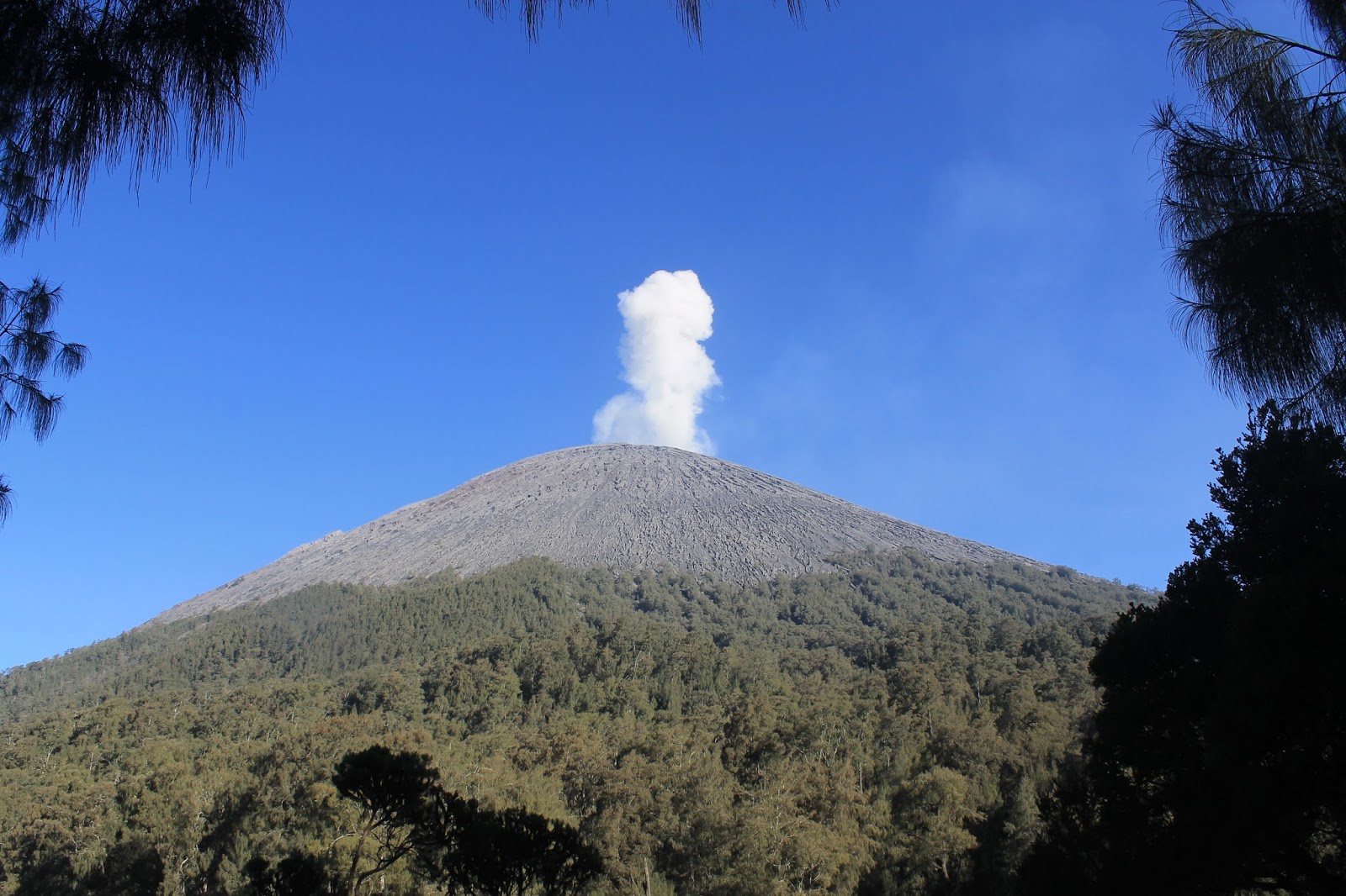 Keindahan Gunung Semeru ~ ikiutek.blogspot.com