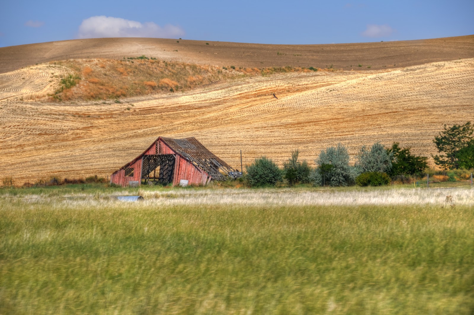 This Life in Ruins: Barn near Dusty, wa