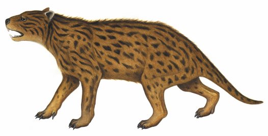 Escenarios prehistóricos: Wakaleo