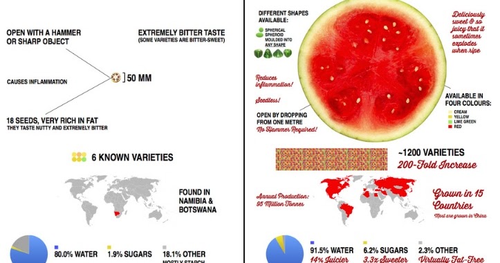 Why Was This Year's Watermelon So Perfect? | Big Picture Agriculture