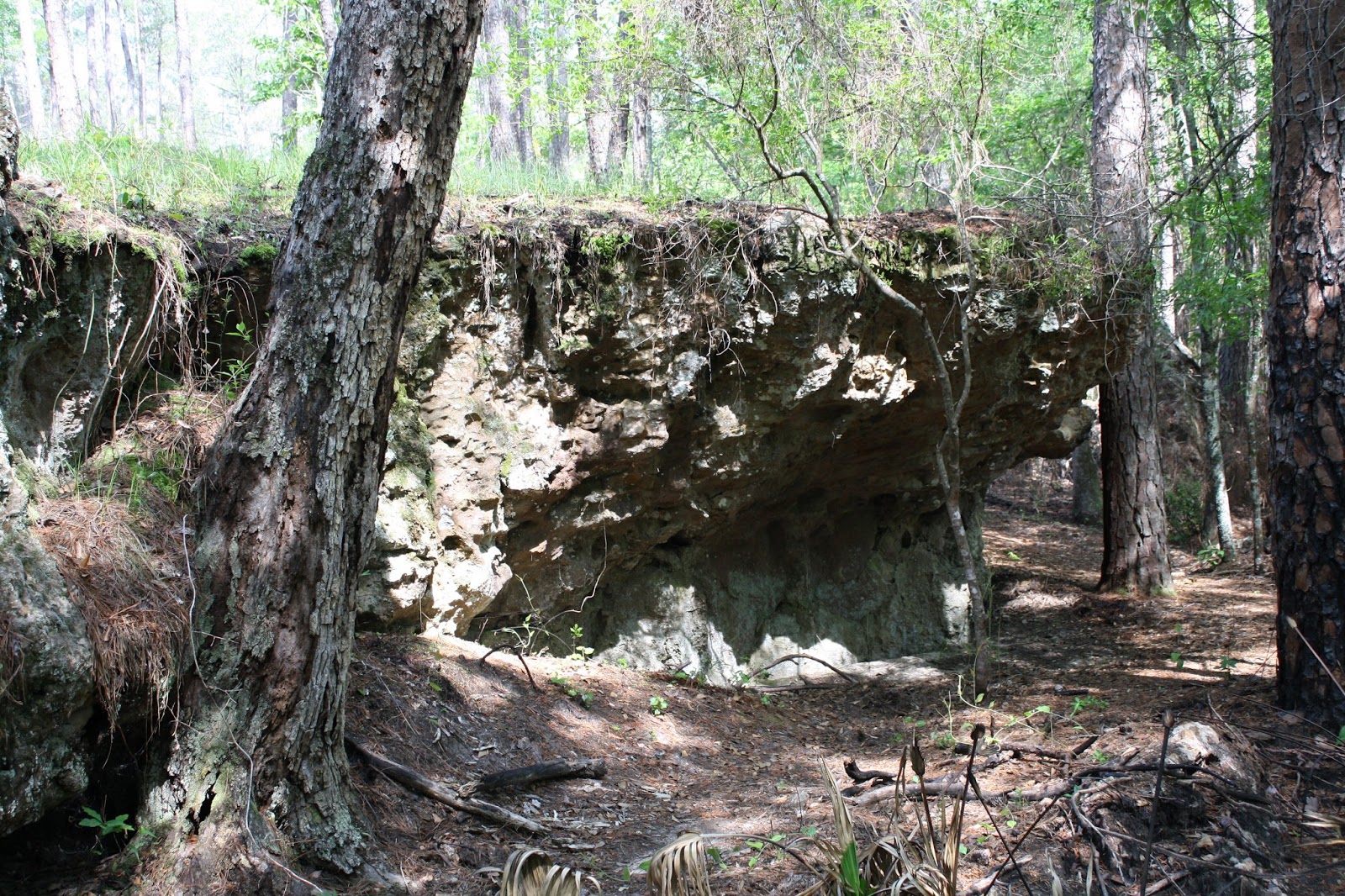 Baby Babbles: Broxton Rocks