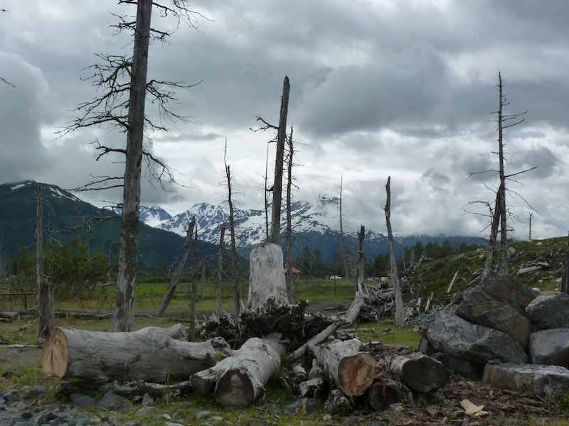 honeymoon in Alaska - part 1 | Natural born explorers