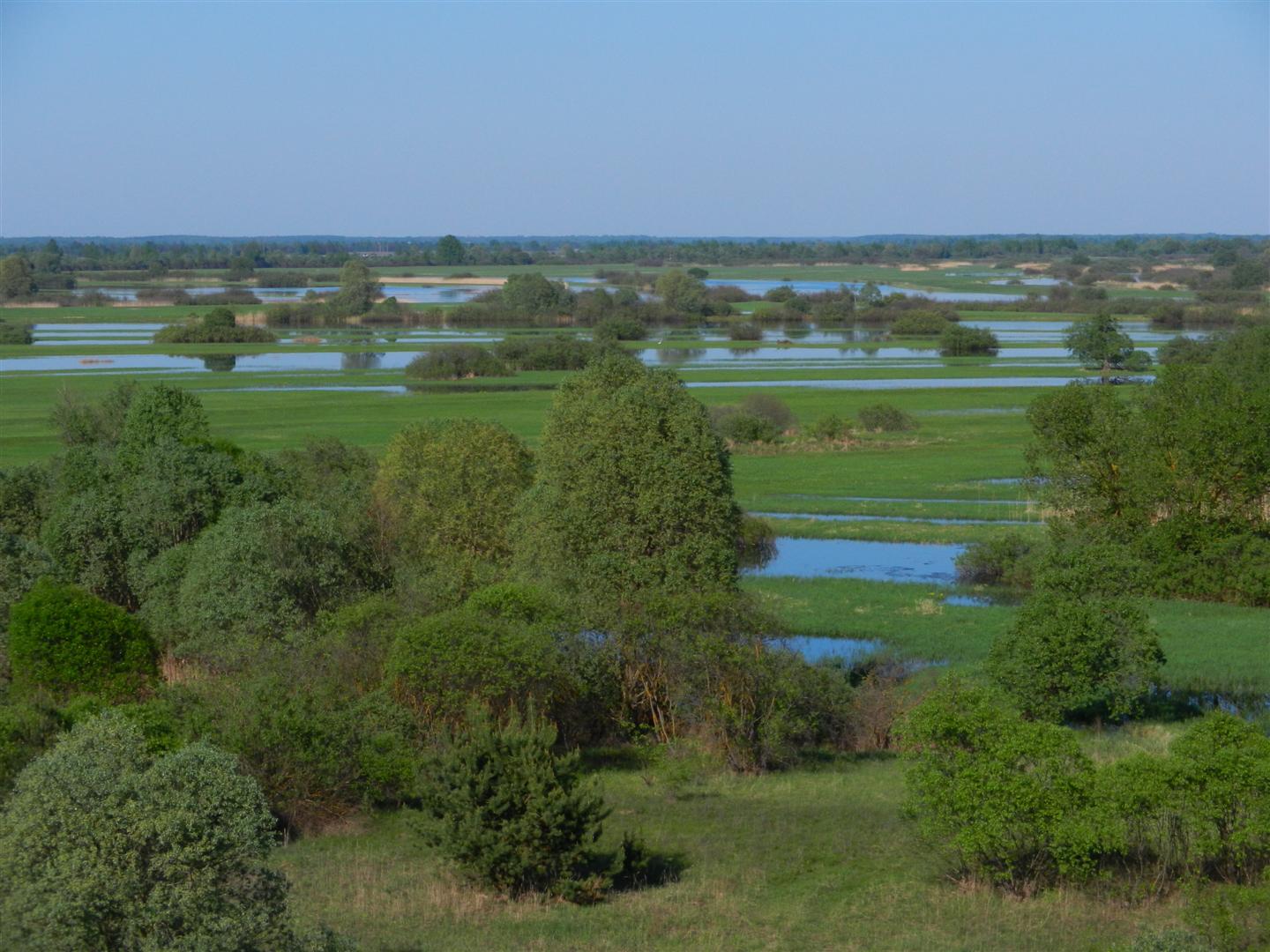 Simon Boyes: Belarus