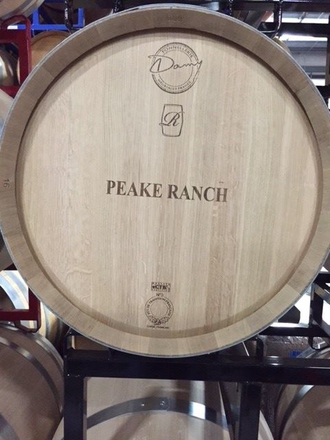 The Wine Write: Meet Wynne Solomon of Peake Ranch Winery