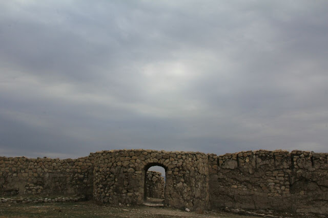 Uppersia Iran Travel blog: The dazzling Narcissus lands of Kazerun.