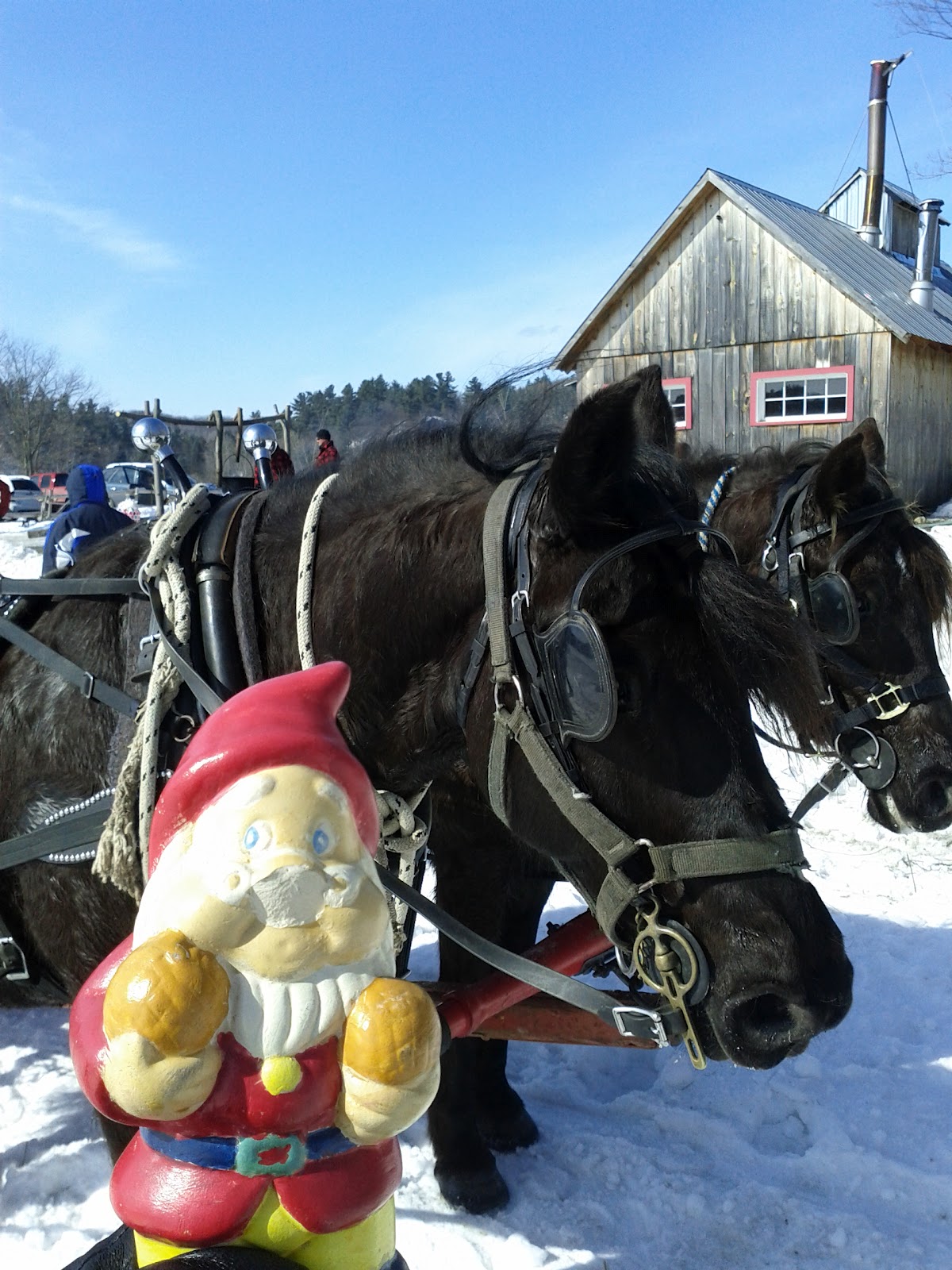 Adventures of the Garden Gnome Liberation Front (GGLF): Sugar Shack in ...