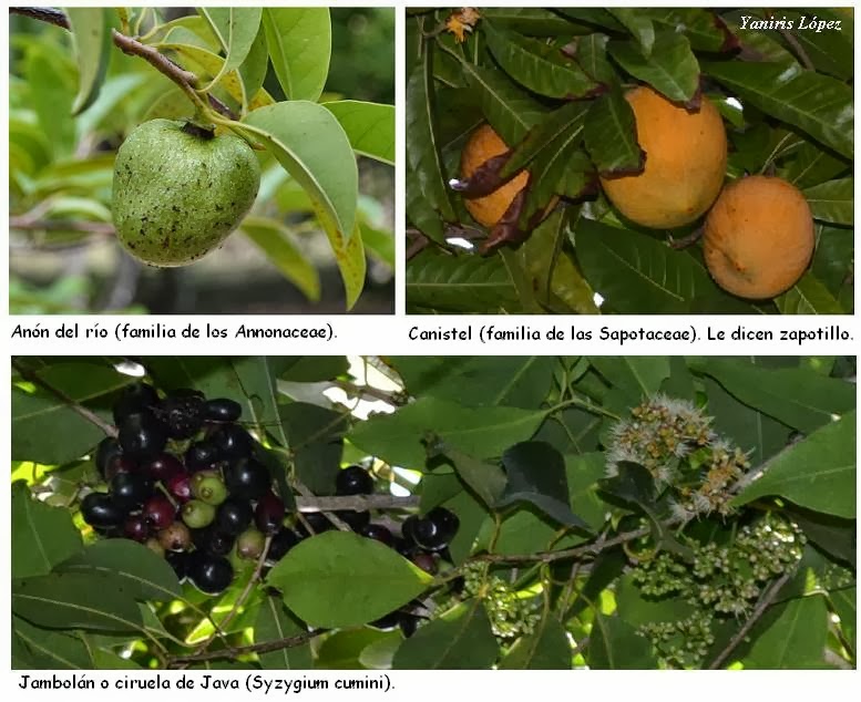 Ningún lugar está lejos... en RD: septiembre 2013