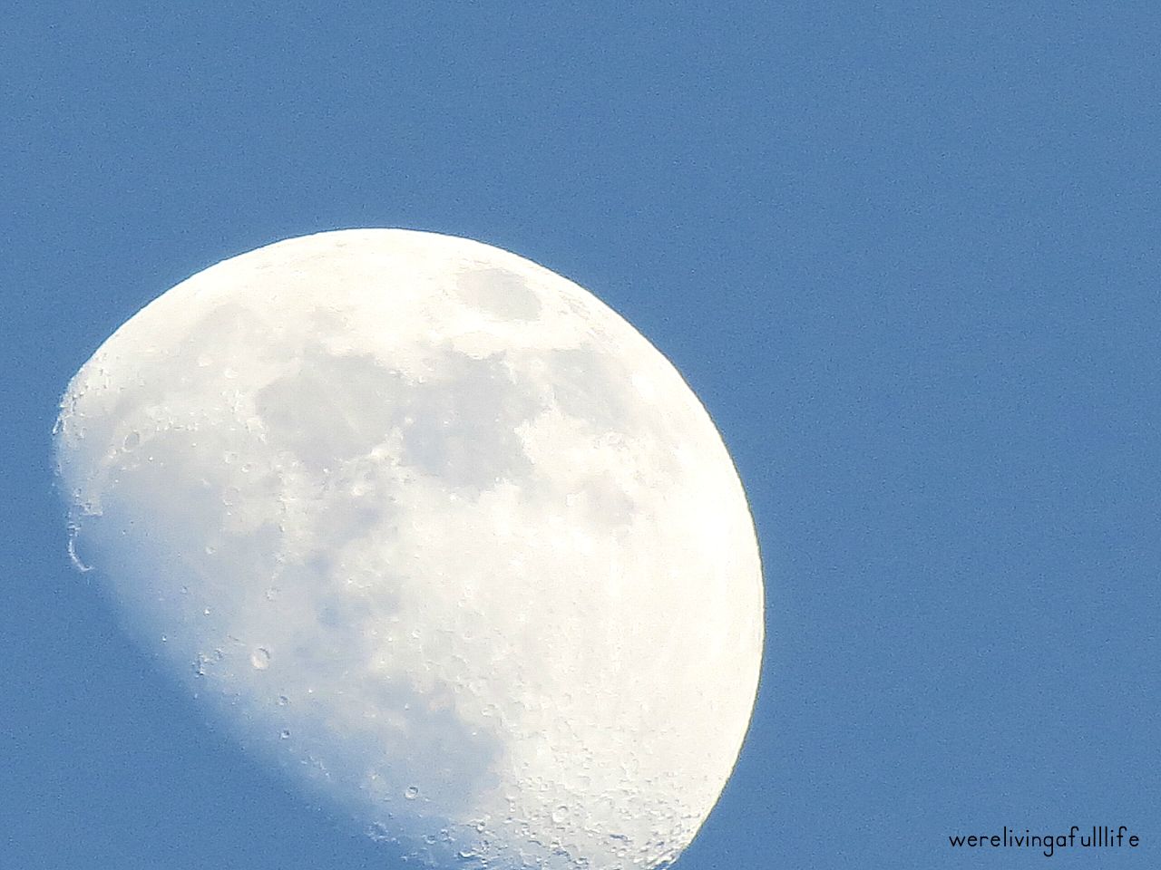 werelivingafulllife: A-Z 2013 the letter M