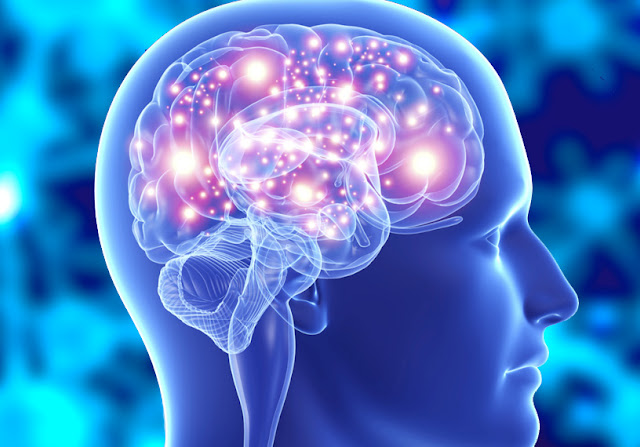 Neurología | Centro Clínico Ribadeo | Especialidades médicas ...