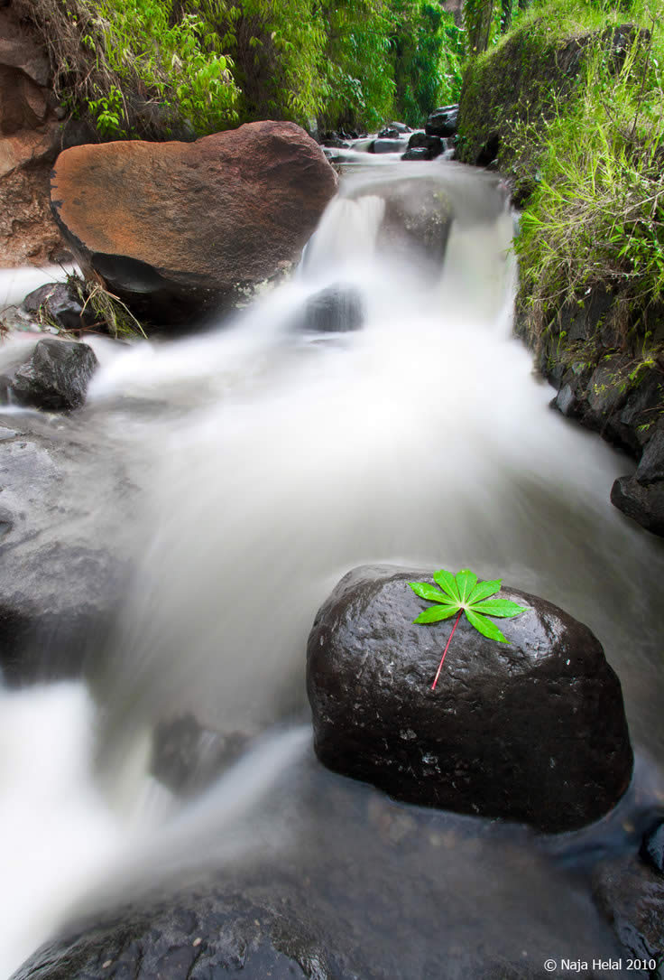 The Most Beautiful Rivers In The World ~ Diana's Things