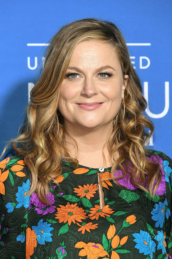 BU Feminist Reading of Culture - Warrior Women - Fall 2017: Amy Poehler