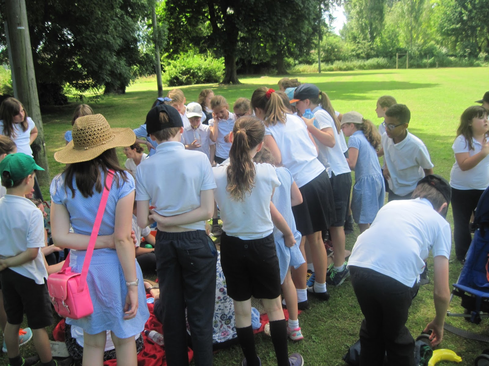 Cholsey Primary School Special Events: Musicians' Picnic
