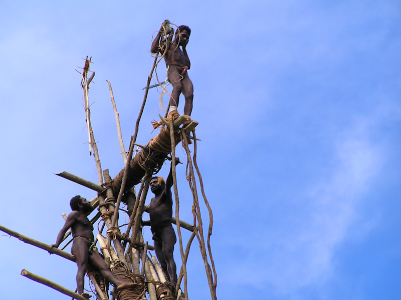 pascal-photos: Nangol or Land diving
