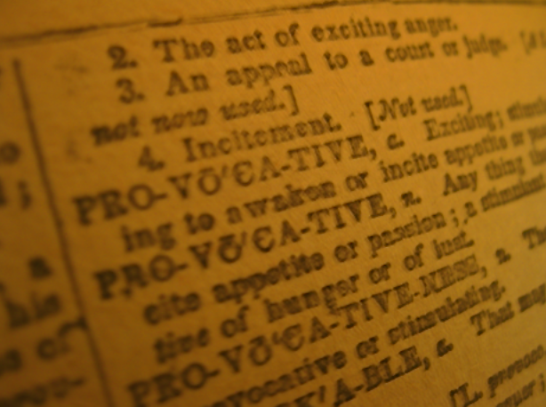 Beauty, and What It Means: Thoughts on a Word: Provocative